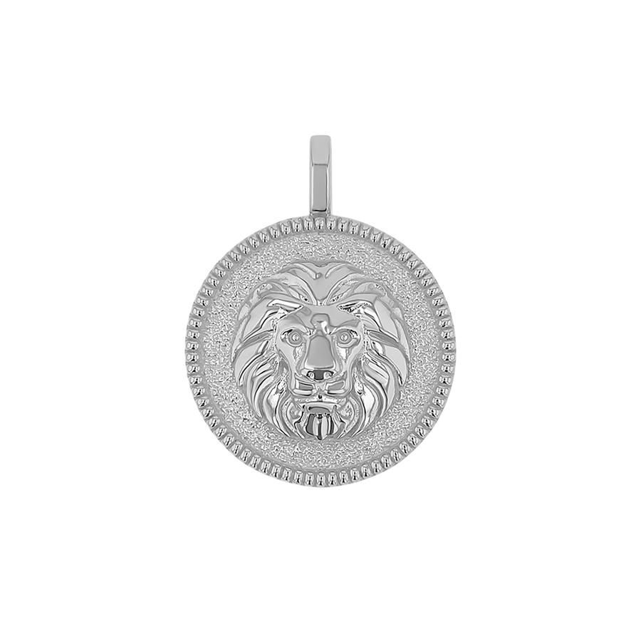 14K Gold Zodiac Coin Medallion Charm – Baby Gold